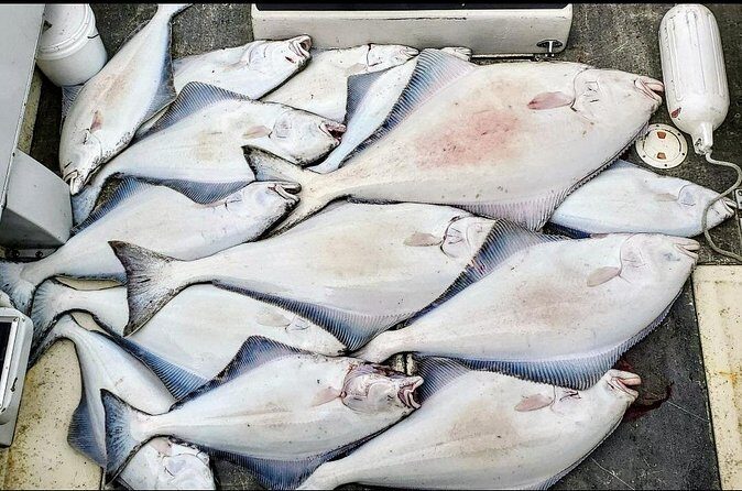 Shared Fishing Adventure in Icy Strait Hoonah Alaska - The Practical Details