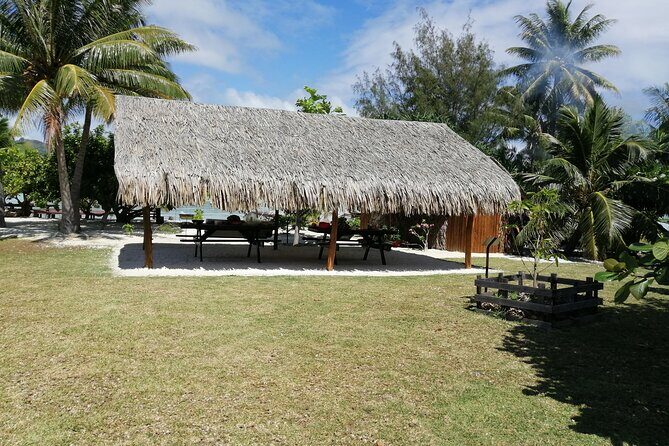 SHARED FULL DAY CULTURAL & LAGOON TOUR - Bora Bora Cultural Lagoon Tour - Who Should Consider This Tour?