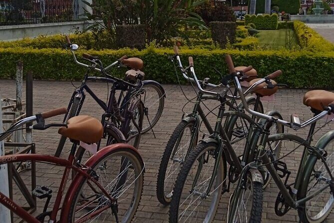 Shared Santa Maria Del Tule Bike Tour - Exploring Oaxaca by Bike: What to Expect