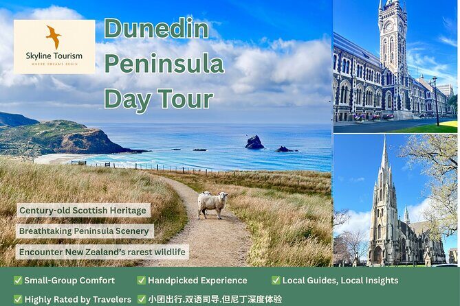Shared Small Group Dunedin City and Peninsula Scenery Day Tour - Who Would Love This Tour?