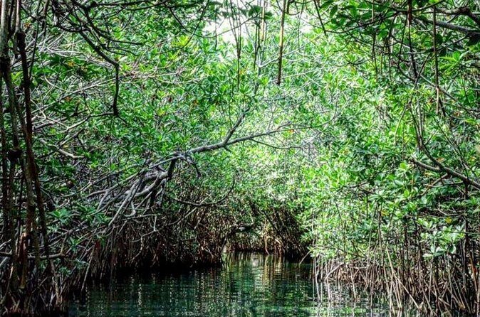 Shared Speedboat and Snorkeling Adventure in Cancun - The Itinerary and What You Can Expect