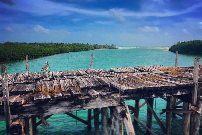 Shared Speedboat Tour: Nichupté Lagoon & Mangrove Adventure - A Closer Look at the Tour Experience