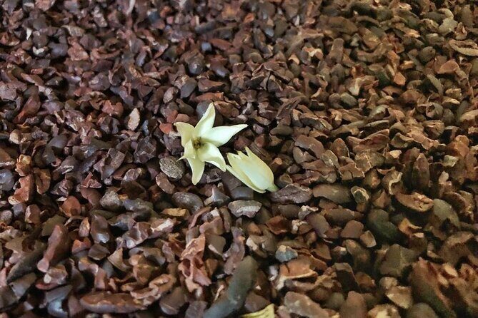 Shared Tour by Minivan or Car from Syracuse to Ragusa, Noto and Modica - Frequently Asked Questions