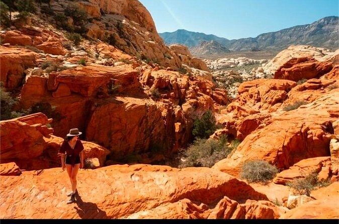 Shared Tour in Red Rock Canyon - The Experience in Detail: What You Can Expect