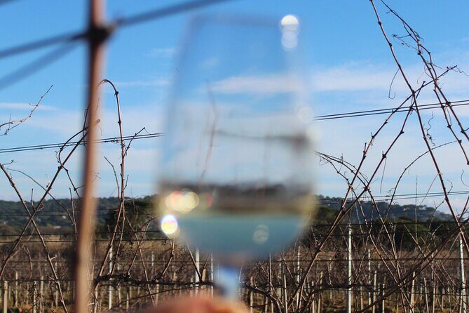 Shared Tour - Wine tour from Saint Tropez - Key Points