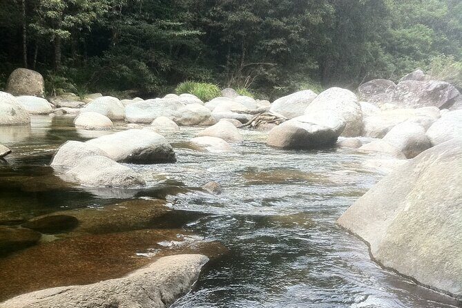 Shared Transfer Between Cairns and Port Douglas - Analyzing the Value