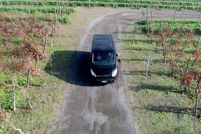 Shared Transfer from Sorrento to Naples Airport - FAQs  