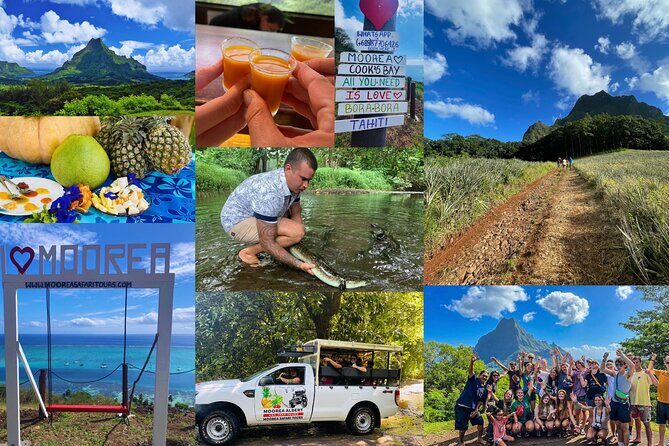 Shared Transfer: Hotel or Cruise Port to Tahiti Airport - Who Will Love This?