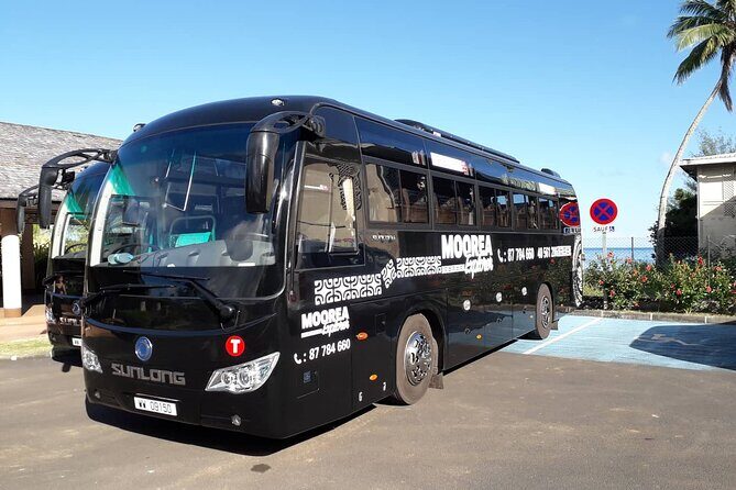 Shared Transfer : Moorea Airport (or) Pier to Hotel - Practical Tips for Your Transfer