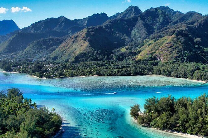 Shared Whale Expedition - Value for Money