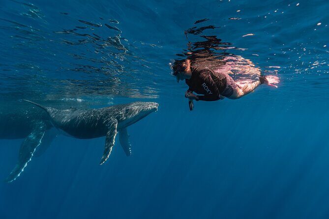 Shared Whale Expedition - Physical and Logistical Considerations