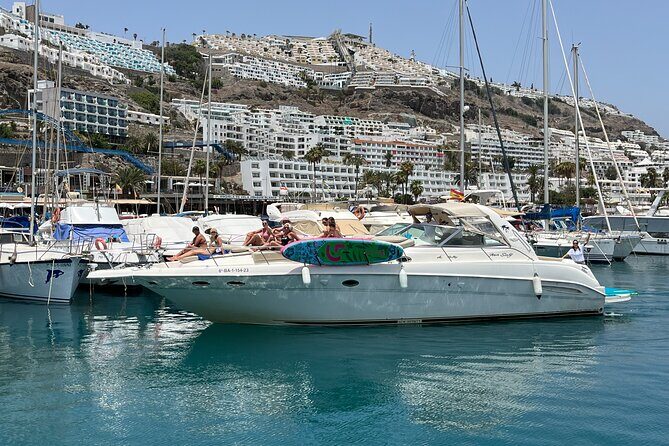 Shared Yacht Tour with Drinks Lunch and Snorkeling - Who Should Book This Tour?