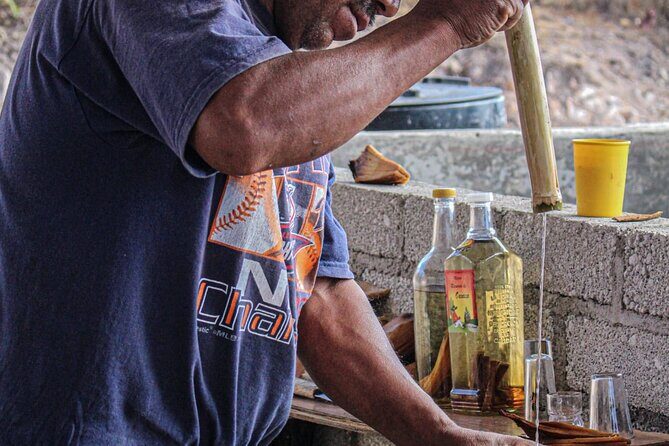 Shared Zapotec Highlights Tour in Oaxaca - Final Thoughts