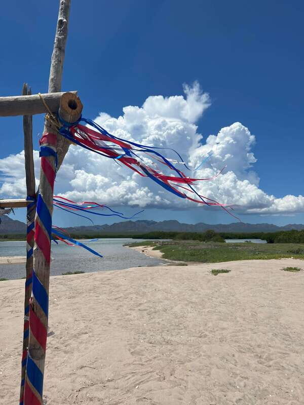 Shark Island: Tour of the largest island in Mexico - An In-Depth Look at the Shark Island Tour