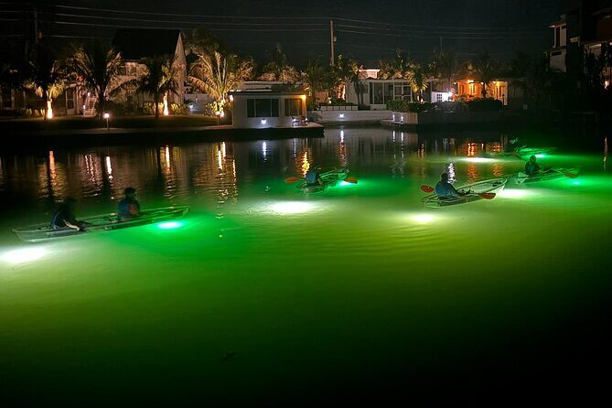 Sharkey's Glass Bottom Fish Feeding LED Night Tour in Venice, FL - A Closer Look at the Venice Night Kayak Tour