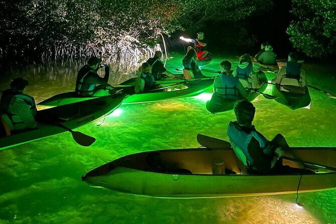 Sharkeys Glass Bottom Fish Feeding LED Night Tour Key West - Key Points  