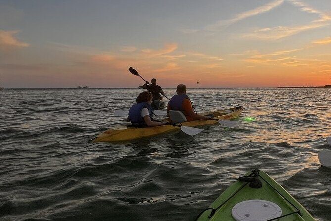 Sharkeys Glass Bottom Fish Feeding LED Night Tour Key West - An In-Depth Look at the Experience