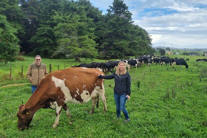 Sheep & Beef Working Farm Private Tour - The Practicalities and Value