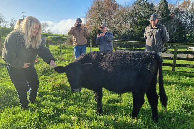 Sheep & Beef Working Farm Private Tour - Authenticity and Unique Aspects