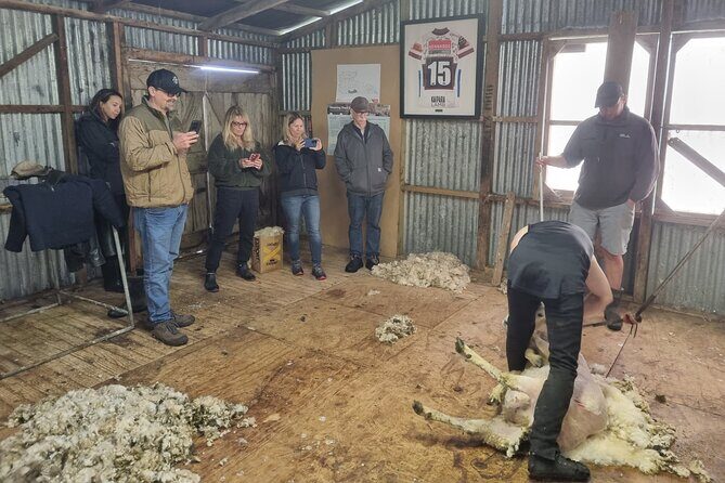 Sheep & Beef Working Farm Private Tour - FAQ