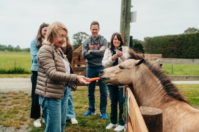 Sheep Farm Day Trip from Christchurch + Lunch and Winery visit. - Final Thoughts