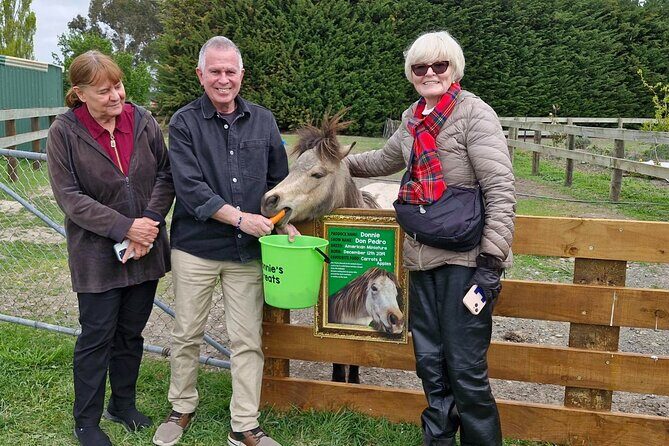 Sheep Farm Day Trip from Christchurch + Lunch and Winery visit. - FAQs