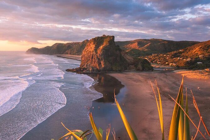 Sheep World and West Auckland Discovery Small Group Day Tour - Exploring the Waitakere Ranges