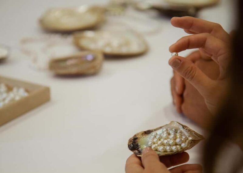 Shell to Showroom - Sydney's only Pearl Farm Experience - The Sum Up
