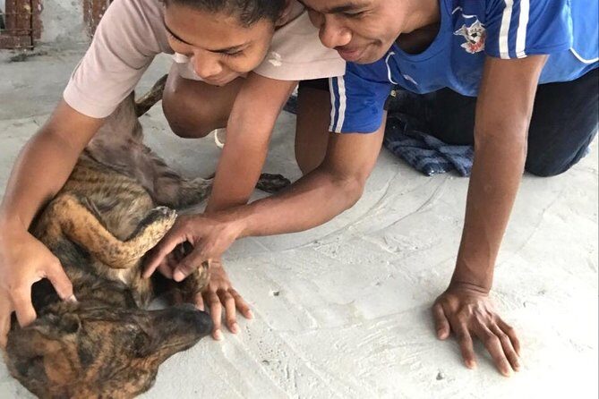 Shelter Visit & Tour - FAQ