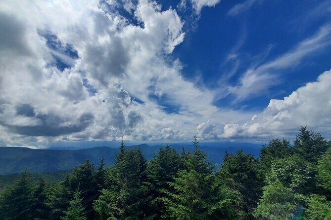 Shining Rock Guided Tour - A Closer Look at the Shining Rock Guided Tour