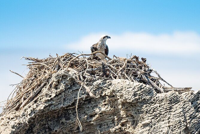 Shoalwater Islands Marine Park Cruise with Lunch - Considerations