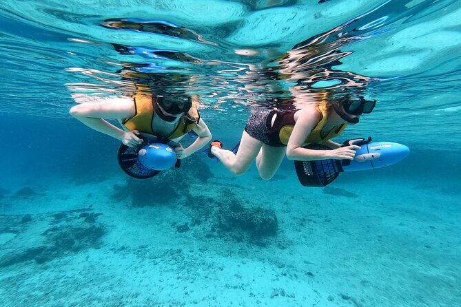 Shopping & Mexican Flavors with Transportation Included - Who Is This Tour Best For?