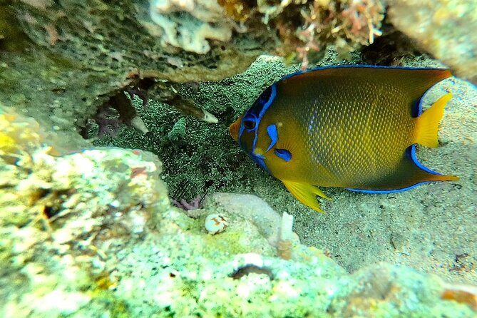 Shopping & Mexican Flavors with Transportation Included - Final Thoughts