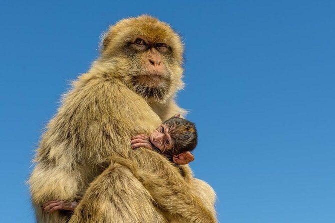 SHORE EXCURSION 3.30hrs Half Day Tour - Key Points