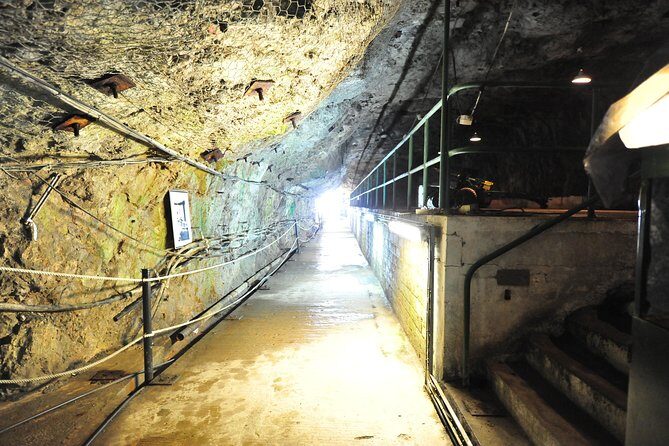 SHORE EXCURSION 3hrs Tunnel Tour - Who Will Benefit Most?