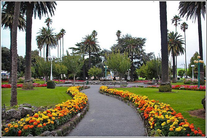 Shore Excursion: 4-Hour Discover Hawkes Bay and Napier Tour - Challenges and Considerations