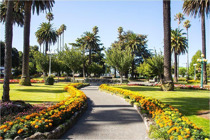 Shore Excursion: 4 Hour Premium Hawke's Bay, Napier Art deco Tour - Is This Tour for You?