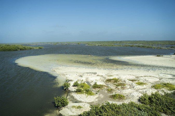 Shore Excursion: Buggy Tour, Punta Sur Park & Beach Relaxation - The Sum Up