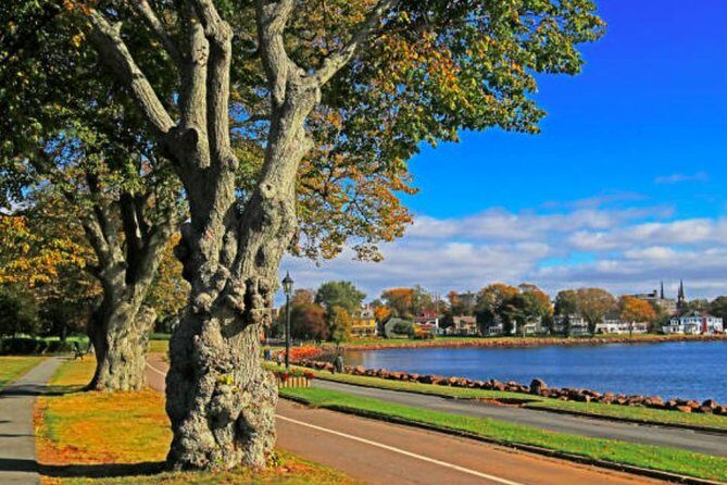Shore Excursion: Charlottetown Highlights & Delights - A Closer Look at the Tour Itinerary