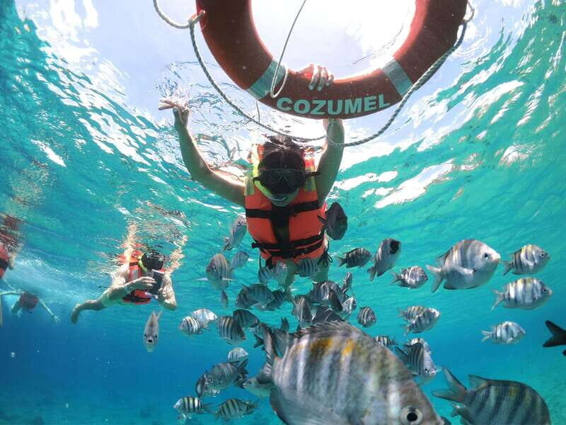 Shore Excursion: Clear Boat Tour with Snorkel & Drinks - Key Points