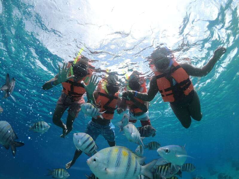 Shore Excursion: Clear Boat Tour with Snorkel & Drinks - Why This Tour Offers Good Value