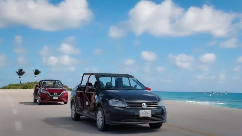 Shore Excursion: Cozumel Island Buggy Tour & Beach Visit - The Experience from a Tour Review Perspective