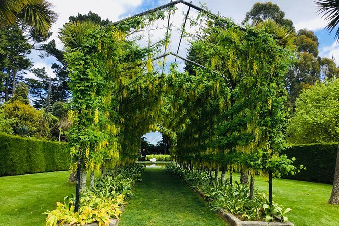 Shore Excursion: Dunedin City, Otago Peninsula, Castle Gardens & Olveston Tour - Frequently Asked Questions (FAQs)  