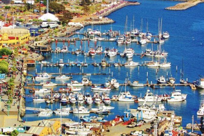 Shore Excursion Ensenada: Tuk Tuk and Horseback Beach Ride - The Experience From Review Insights