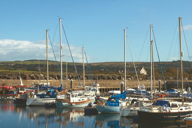 Shore Excursion: Giants Causeway Tour From Belfast Port (Extra Leg Room Bus) - Authentic Experiences & Hidden Gems