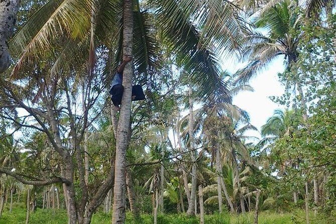 Shore Excursion: Half-Day Anahulu Cave and Cultural Tour - Authentic Experiences Highlighted by Past Travelers