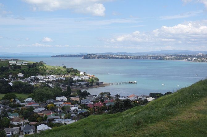 Shore Excursion: Half Day Small Group Auckland Scenic Tour - 4 HOURS - Key Points