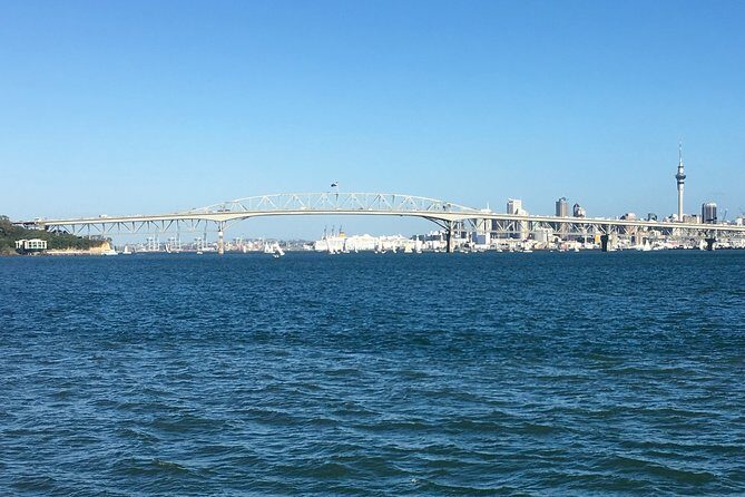 Shore Excursion: Half Day Small Group Auckland Scenic Tour - 4 HOURS - FAQs
