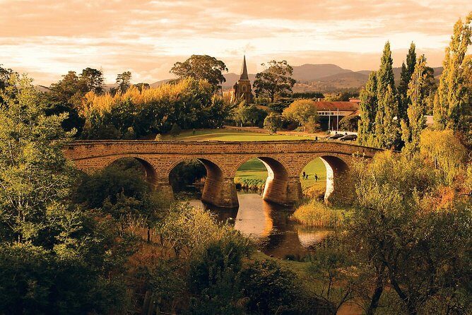 Shore Excursion: Hobart Highlights Day Tour - What Makes This Tour Stand Out