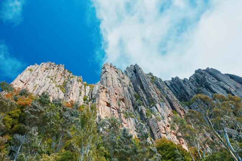 Shore Excursion: Hobart Wanderer - Key Points